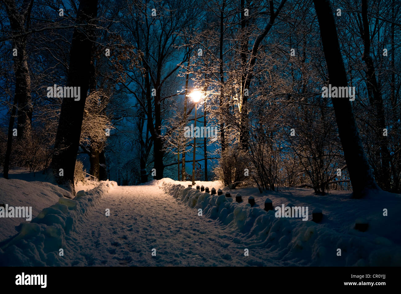 Coburg by night, in winter, Bavaria, Germany, Europe Stock Photo - Alamy