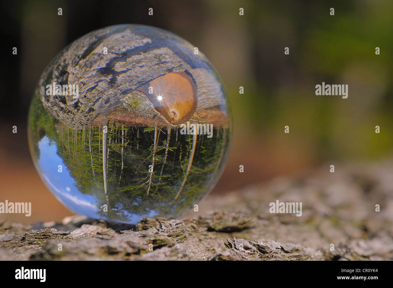 Ball image hi-res stock photography and images - Alamy