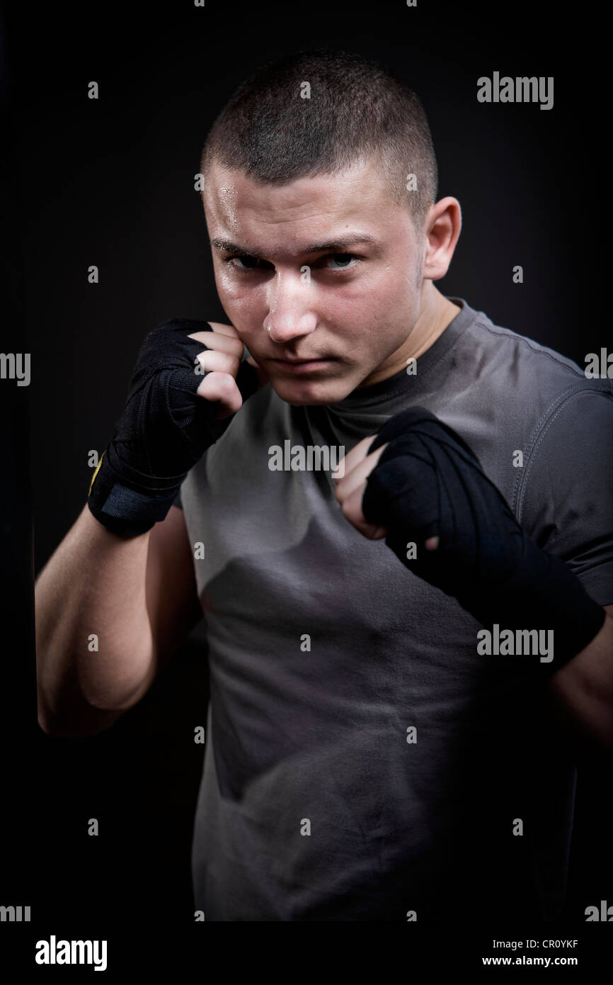 Portrait of a young boxer Stock Photo - Alamy