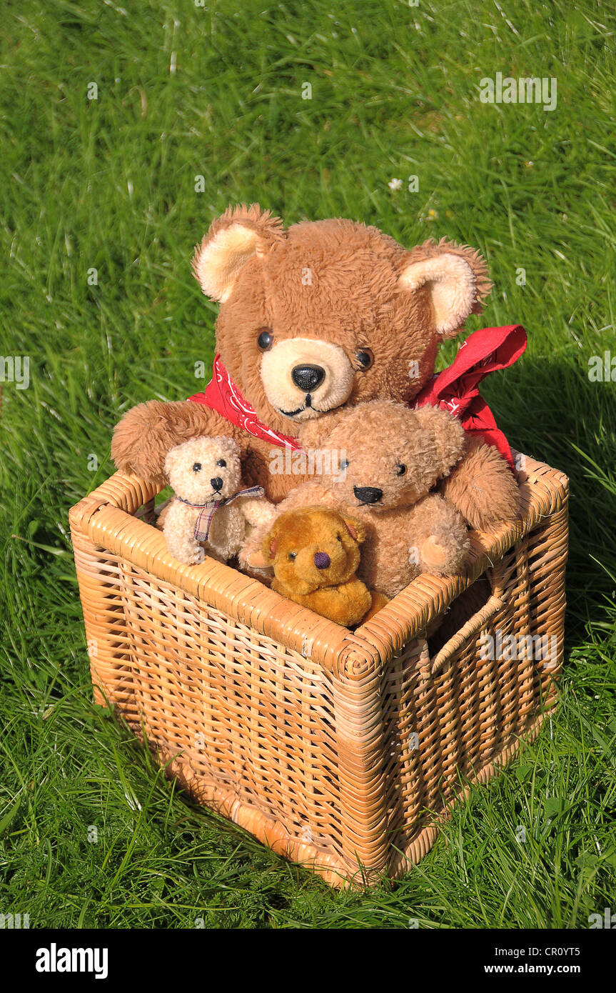 Bear family families hi-res stock photography and images - Alamy