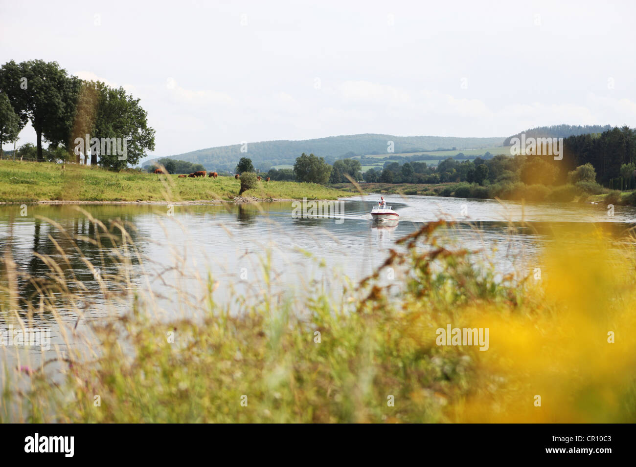 Weser river, river landscape, Weserbergland region, Germany, Europe ...