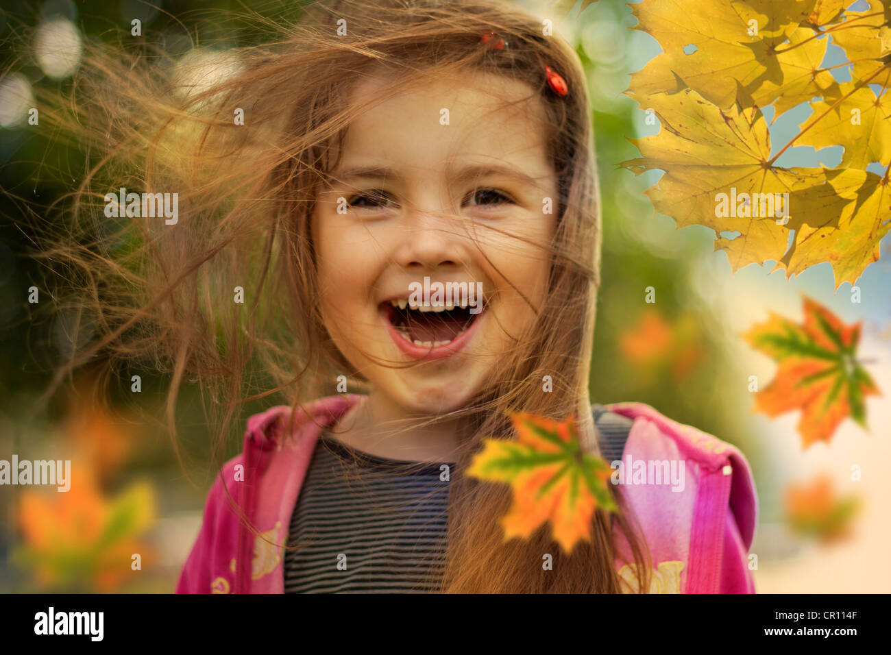 Abstract expressions of leaves hi-res stock photography and images - Alamy