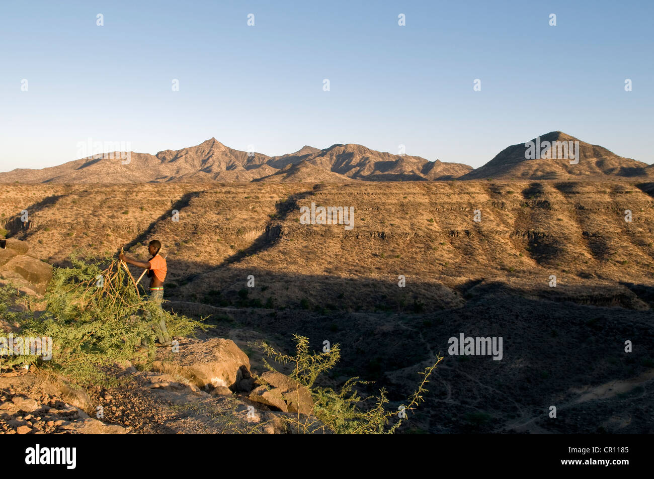 Rock awash hi-res stock photography and images - Alamy