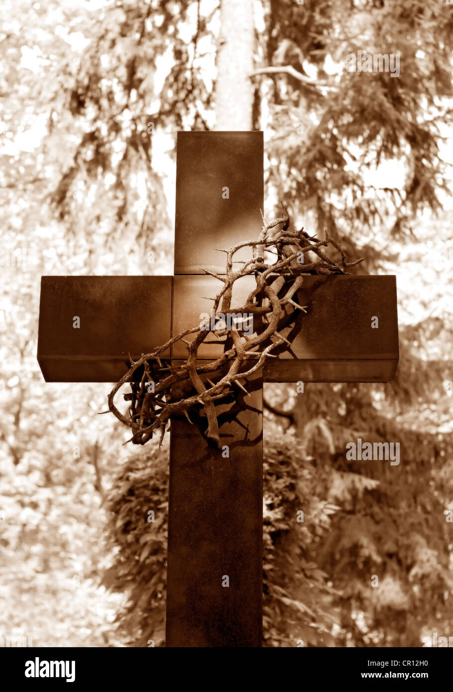 Holy cross catholic cemetery hi-res stock photography and images - Alamy