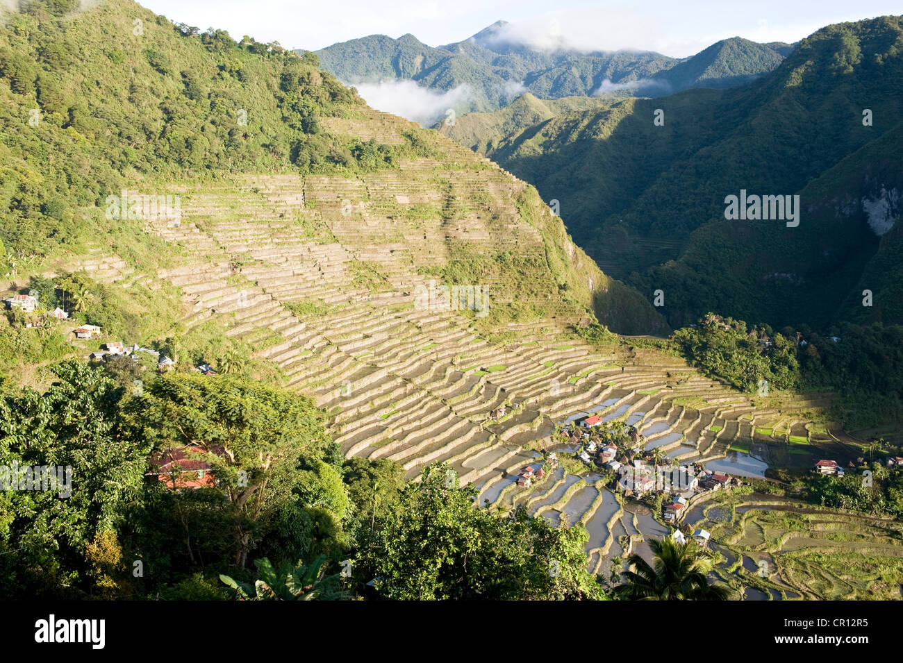 Philippines Rice Fields High Resolution Stock Photography and Images ...