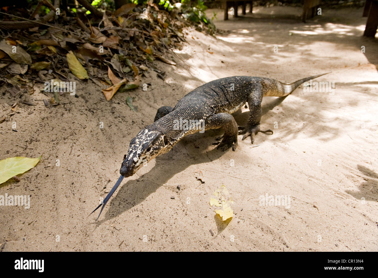 Philippines, Palawan Island, Sabang, Puerto Princesa Subterranean River ...