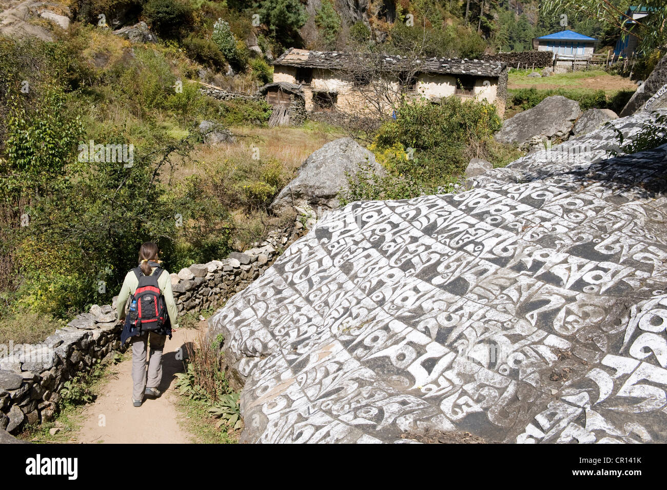 Writing from inscription rock hi-res stock photography and images - Alamy