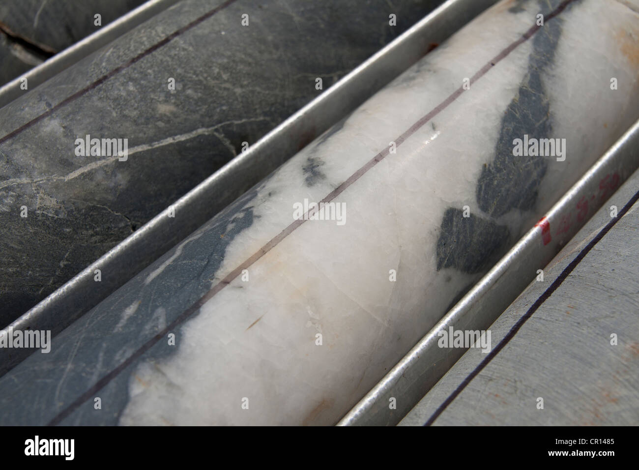 Diamond drill core lined up during exploration drilling campaign Stock ...