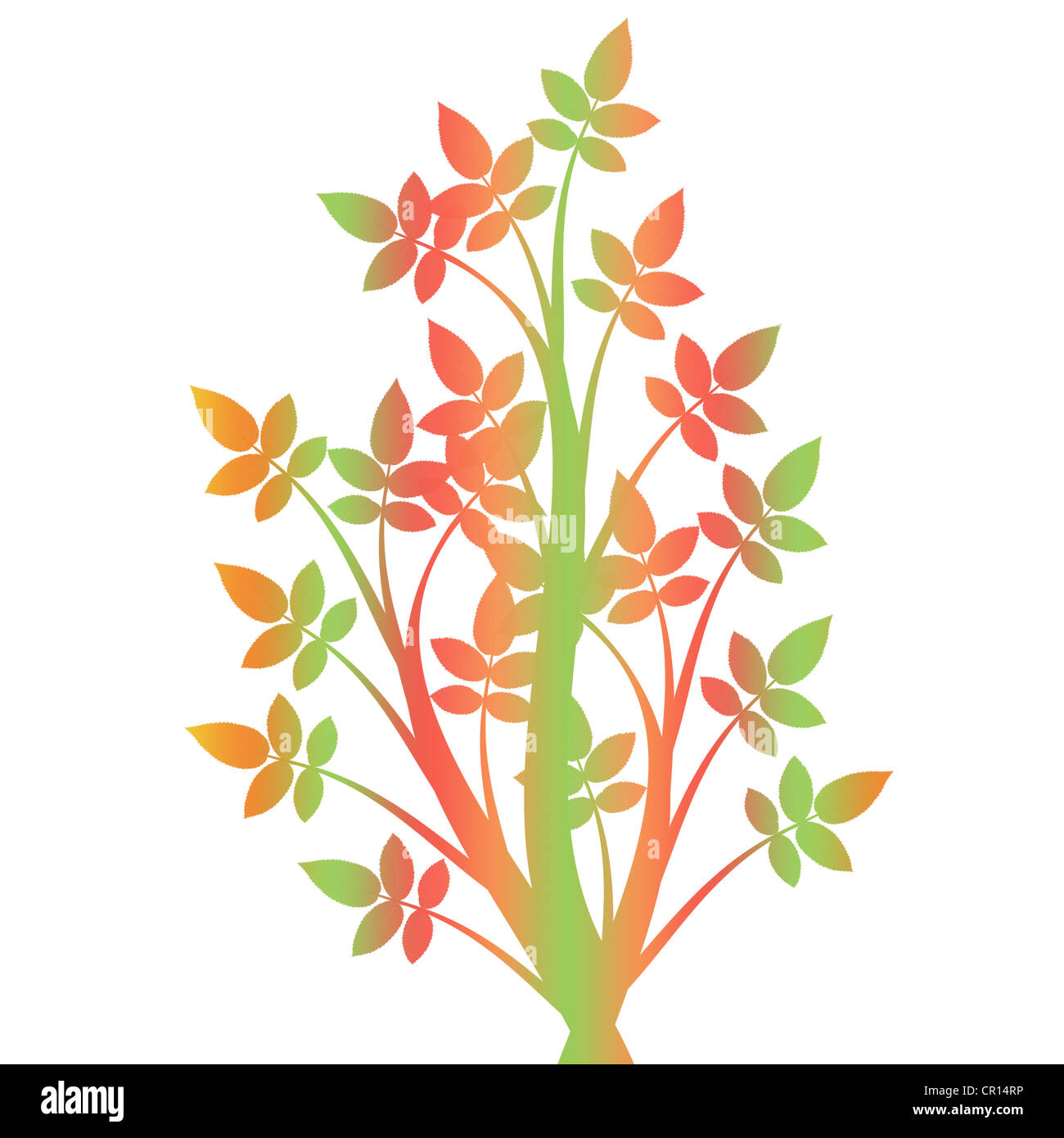 Colorful art tree silhouette isolated on white background Stock Photo ...