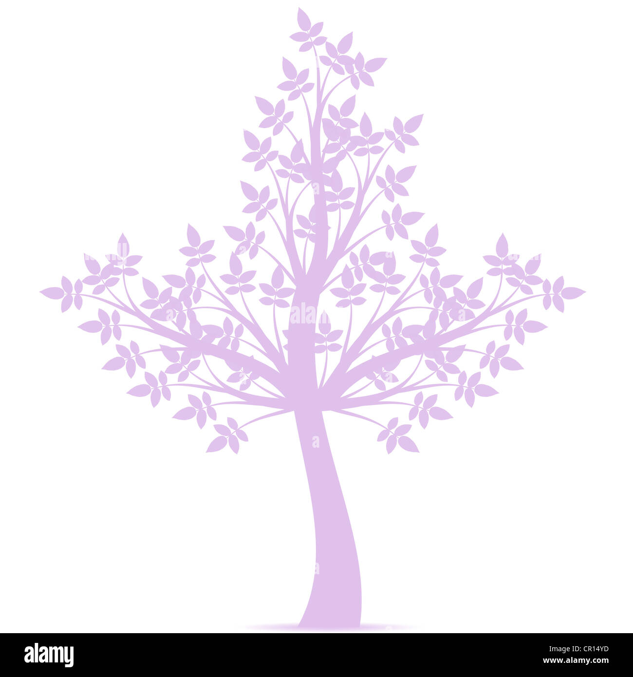 Beautiful art tree isolated on white background Stock Photo - Alamy
