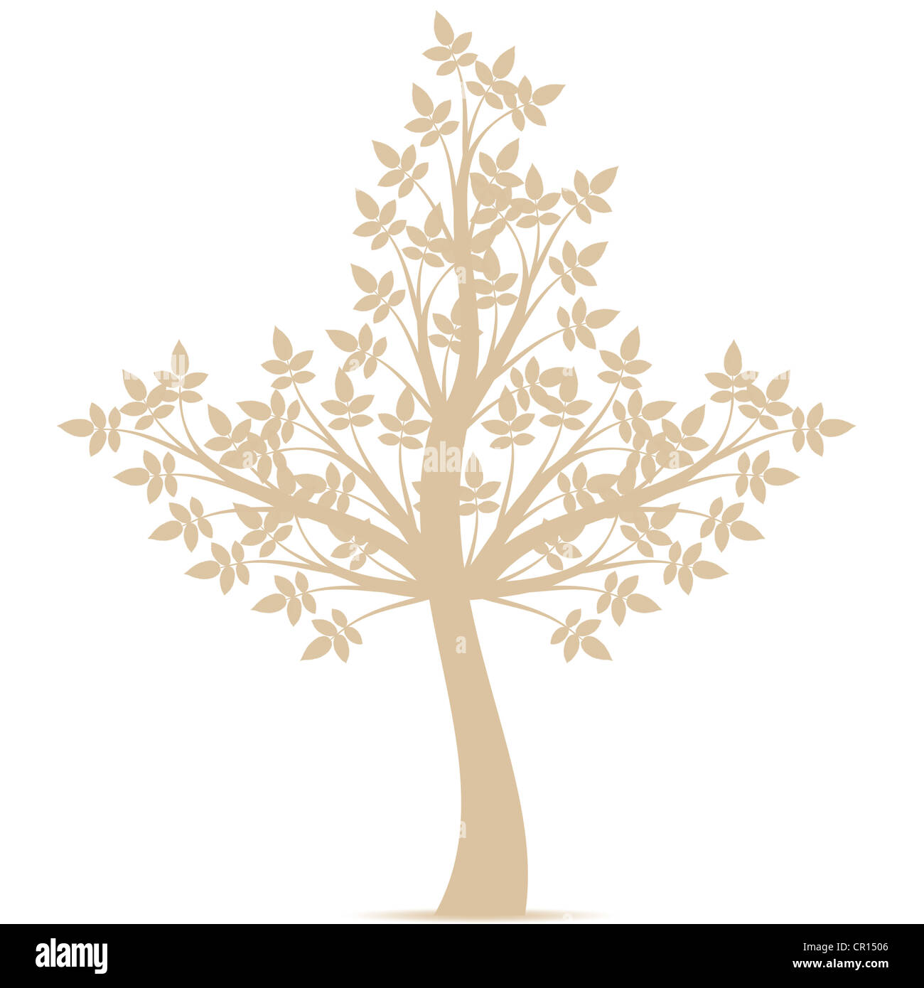 Beautiful art tree isolated on white background Stock Photo - Alamy