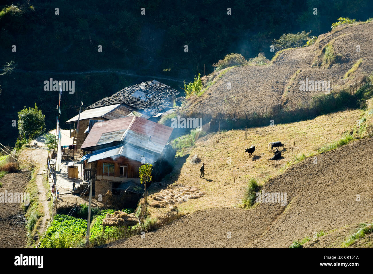 Nepal, Bagmati Zone, Langtang National Park, Thulo Syabru Stock Photo ...
