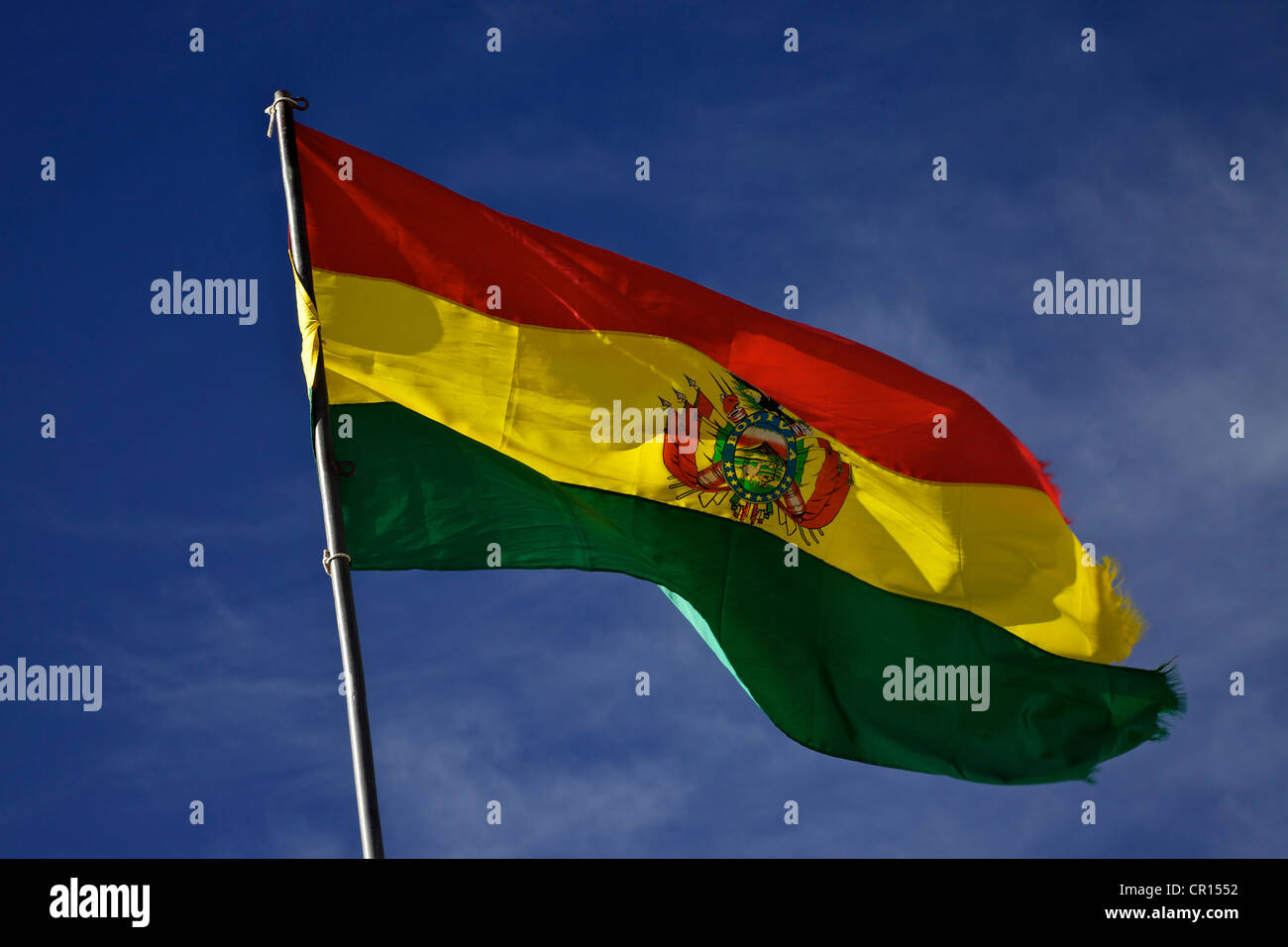 Bolivian flag, Bolivia, South America Stock Photo - Alamy