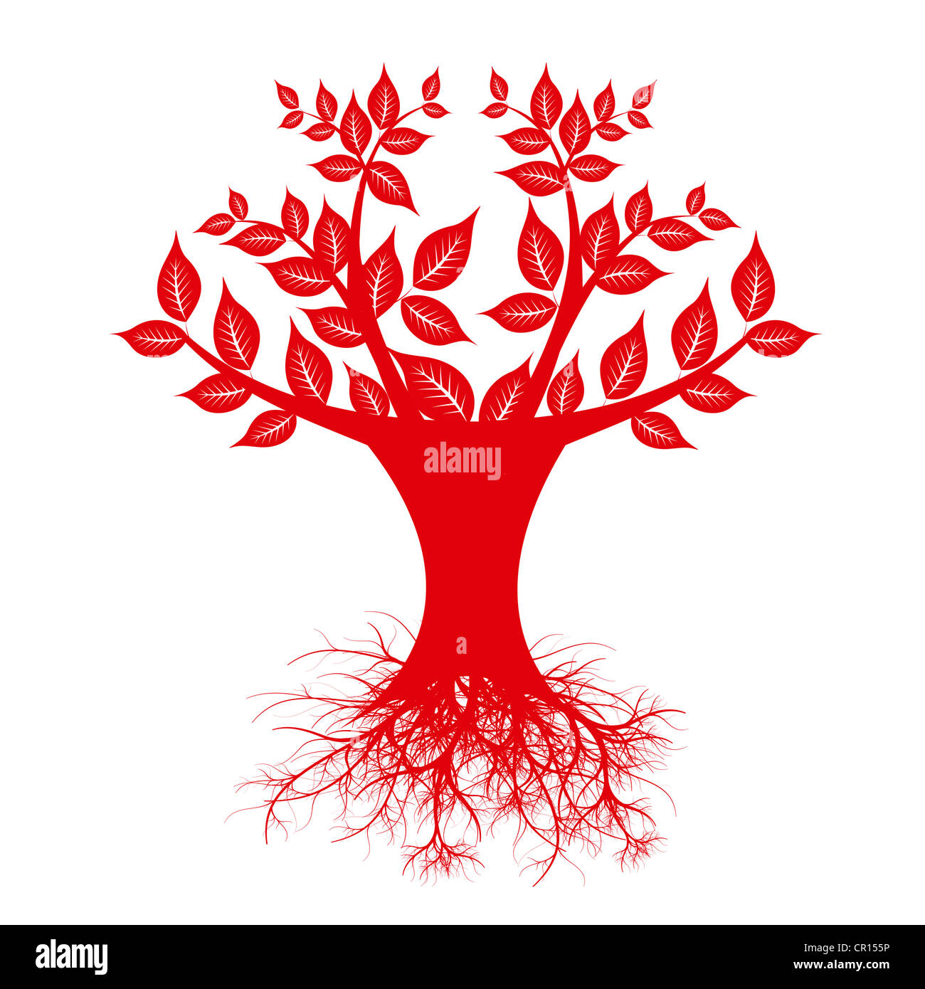 Beautiful art tree isolated on white background Stock Photo - Alamy