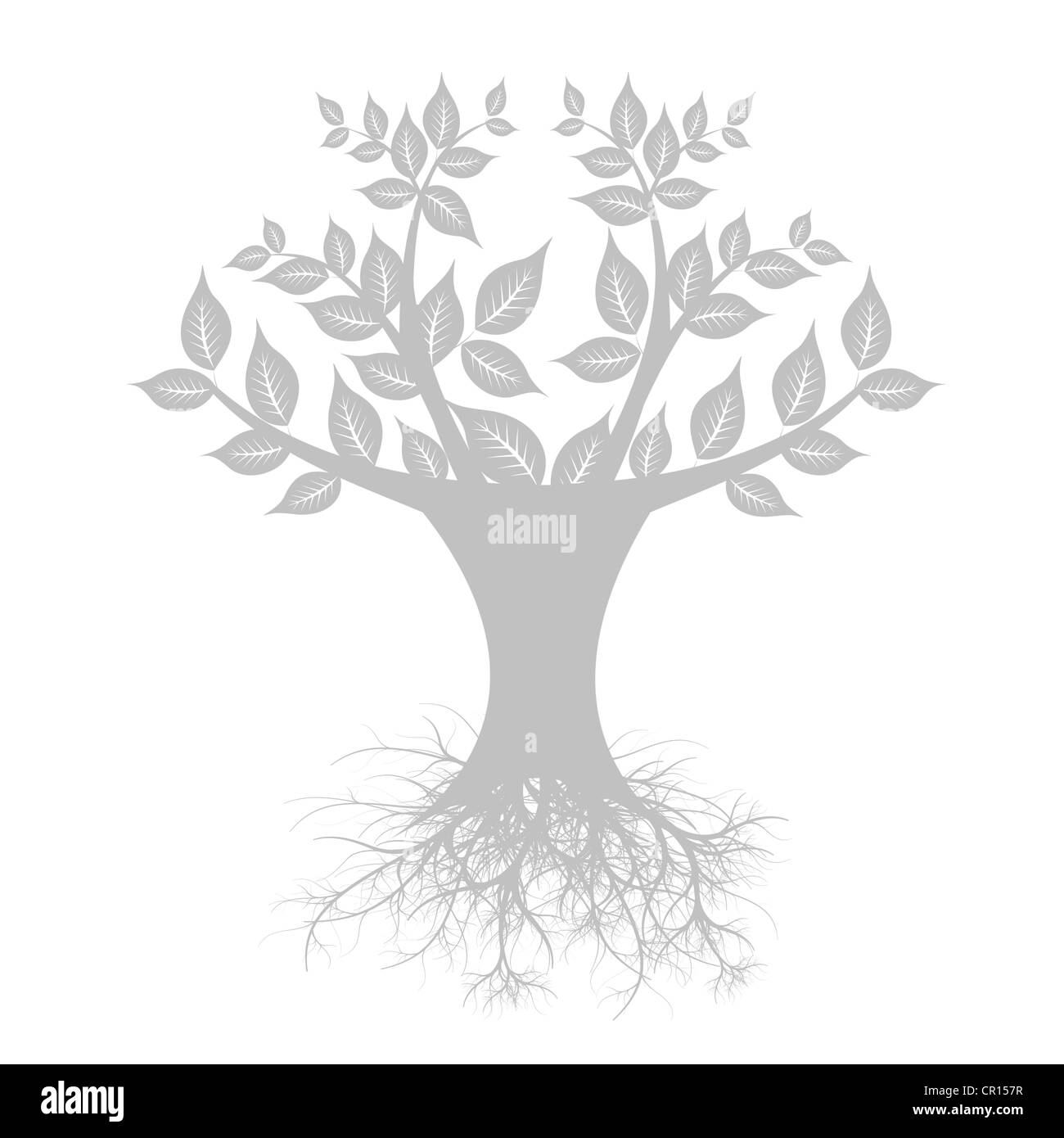 Beautiful art tree isolated on white background Stock Photo - Alamy