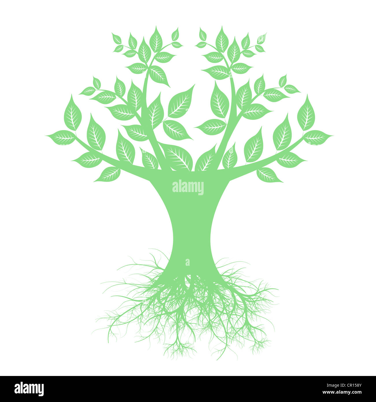 Beautiful art tree isolated on white background Stock Photo - Alamy