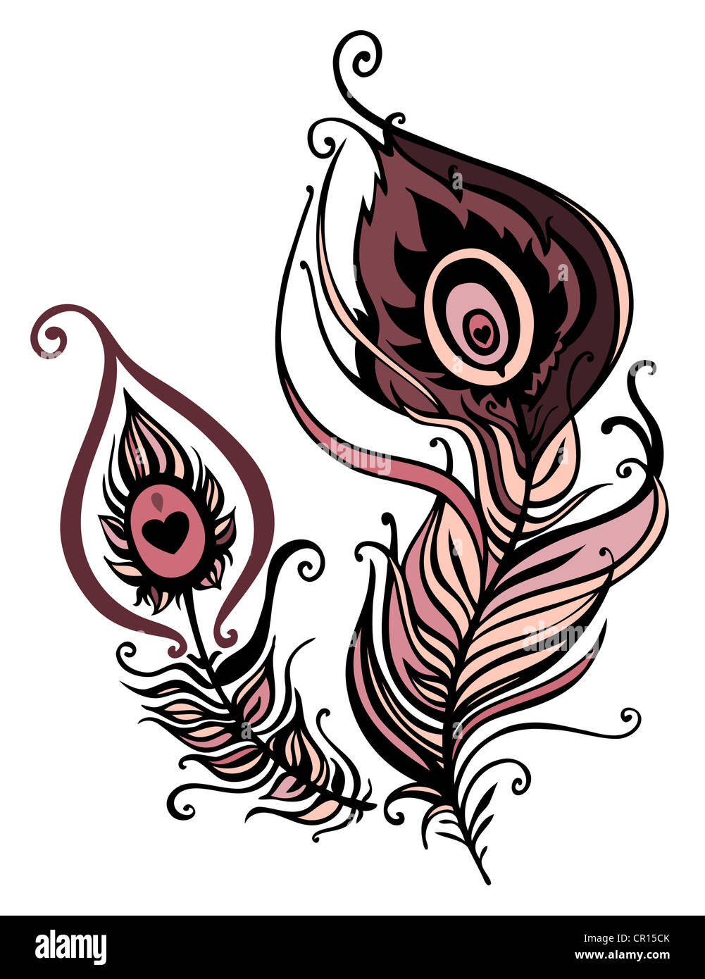 Beautiful Stylized peacock feather. vector illustration isolated Stock ...