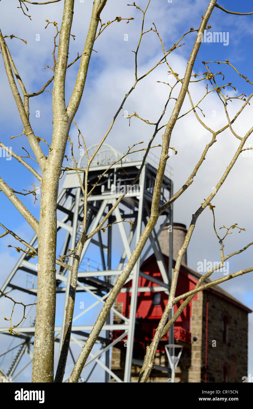 Heartlands visitor center Pool Cornwall Stock Photo - Alamy
