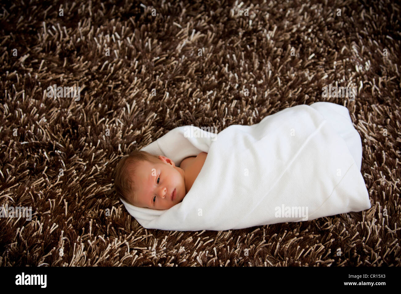 Newborn baby, two weeks old Stock Photo - Alamy