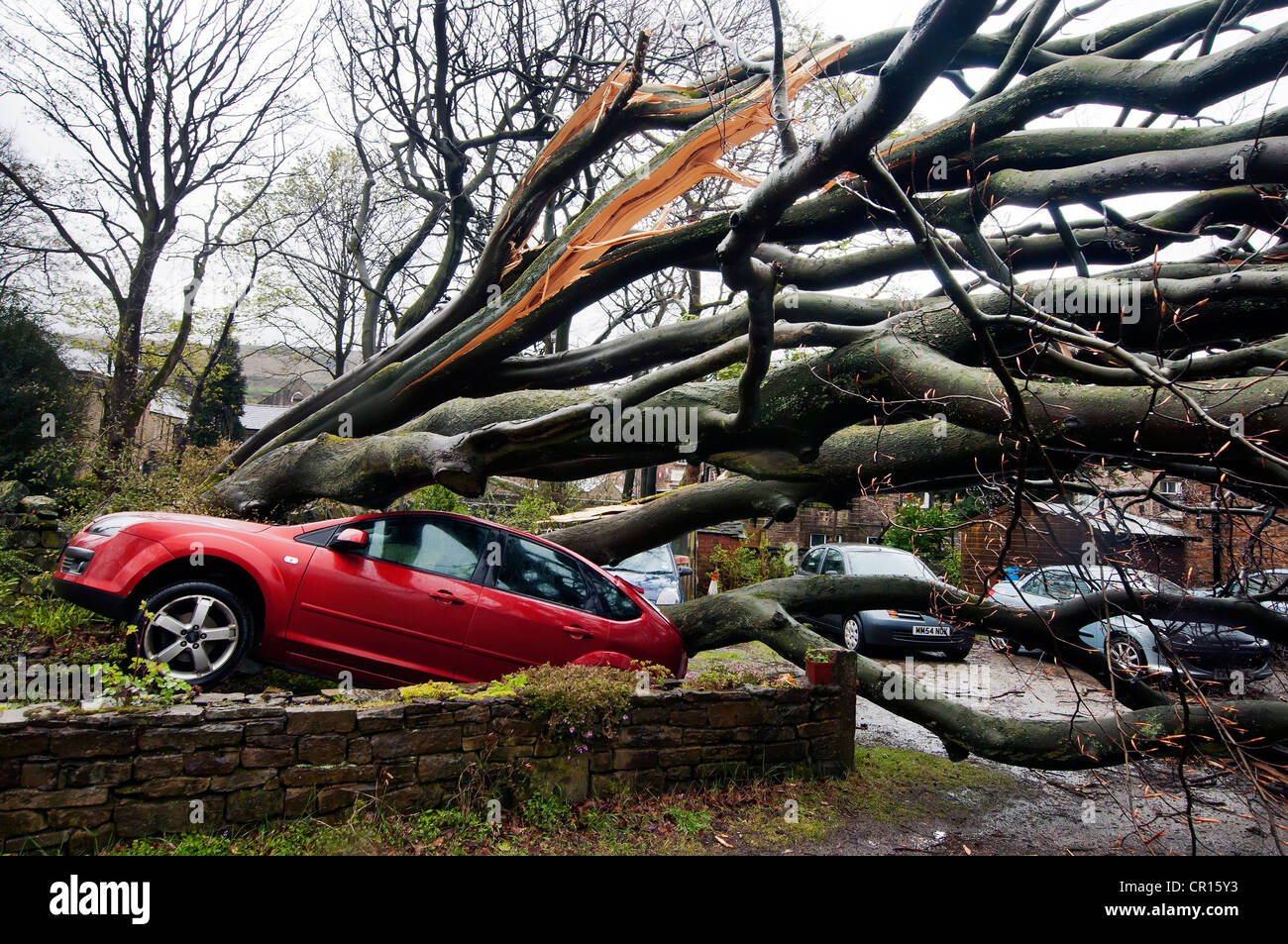 Wind blown timber hi-res stock photography and images - Alamy