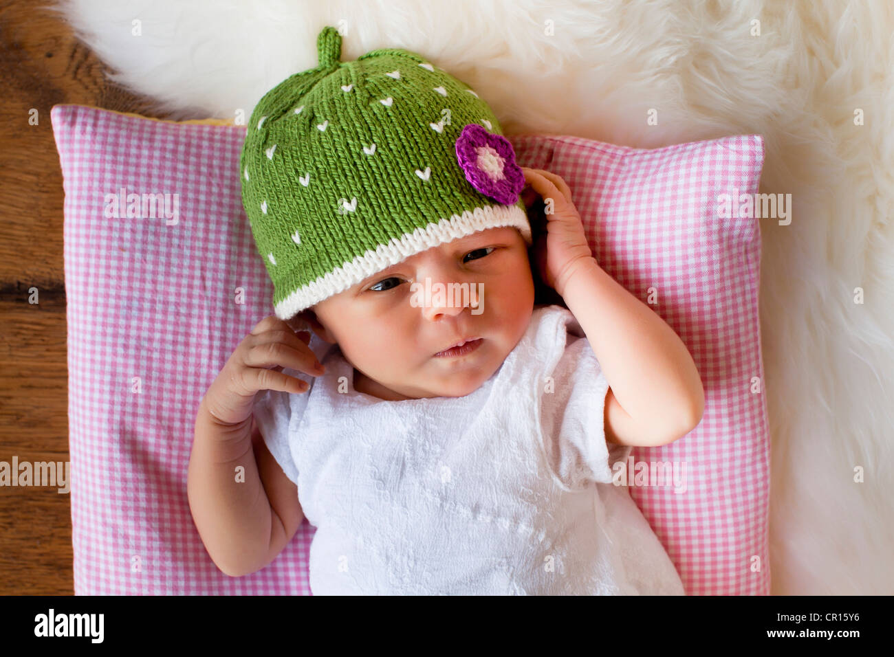 Newborn baby girl, two weeks old Stock Photo - Alamy