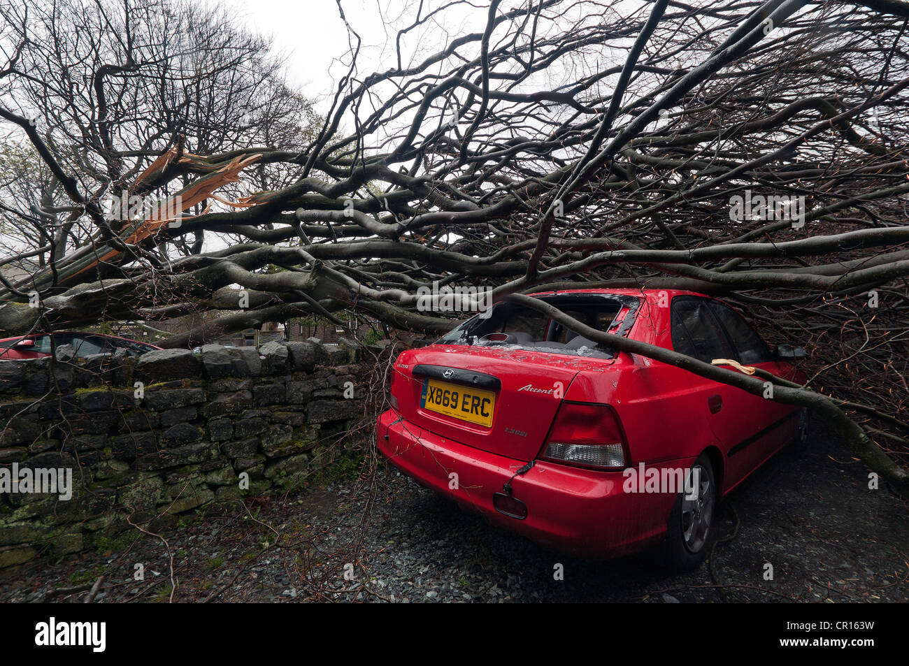Violent wind hi-res stock photography and images - Alamy