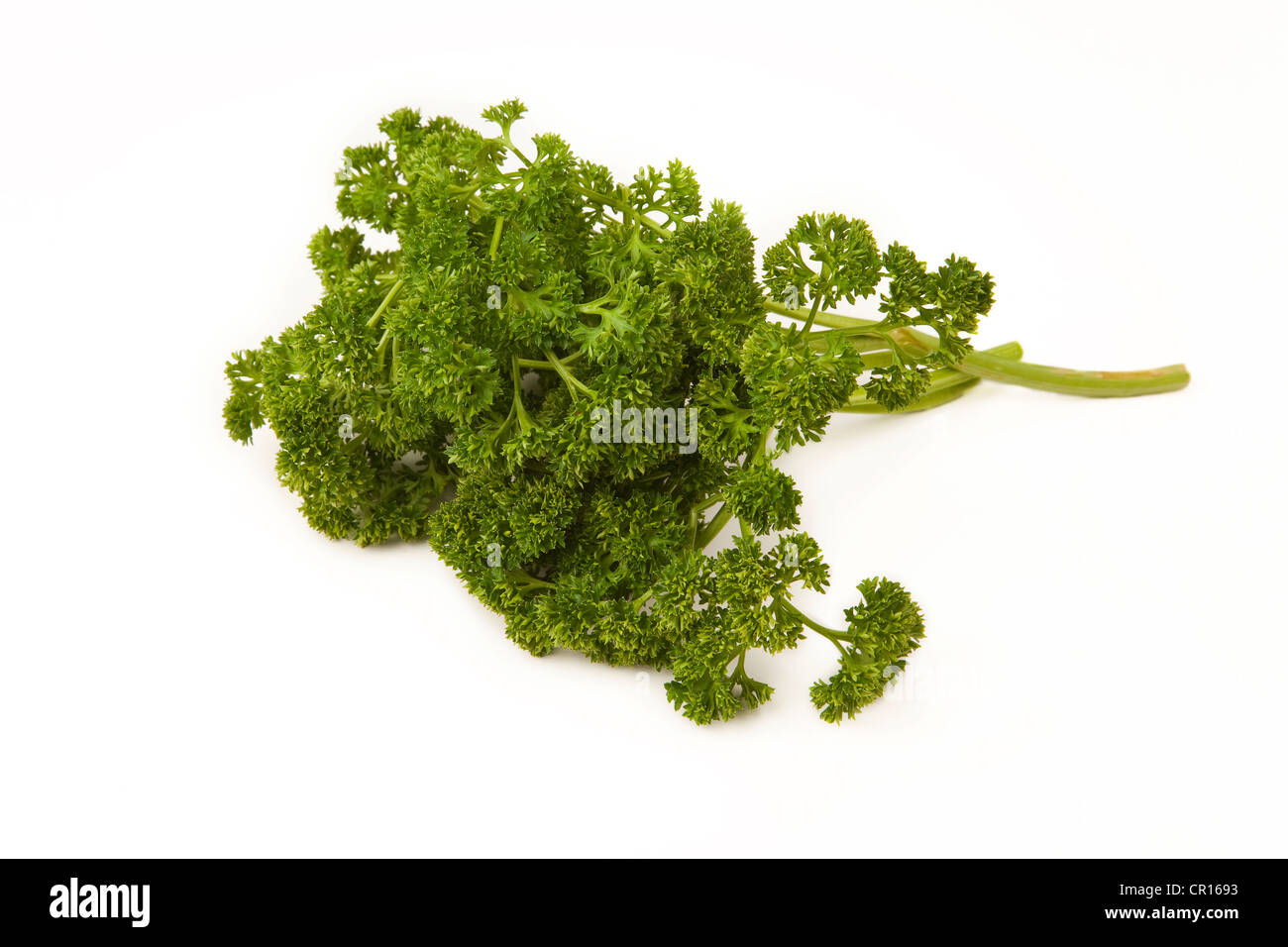 Pot of parsleys hi-res stock photography and images - Alamy