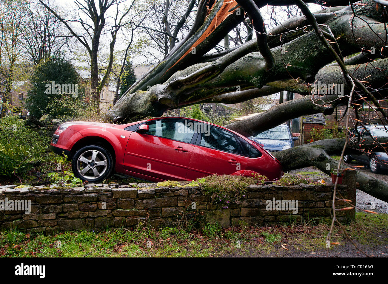 Wind damage, Uppermill, Oldham, Lancashire UK Stock Photo - Alamy