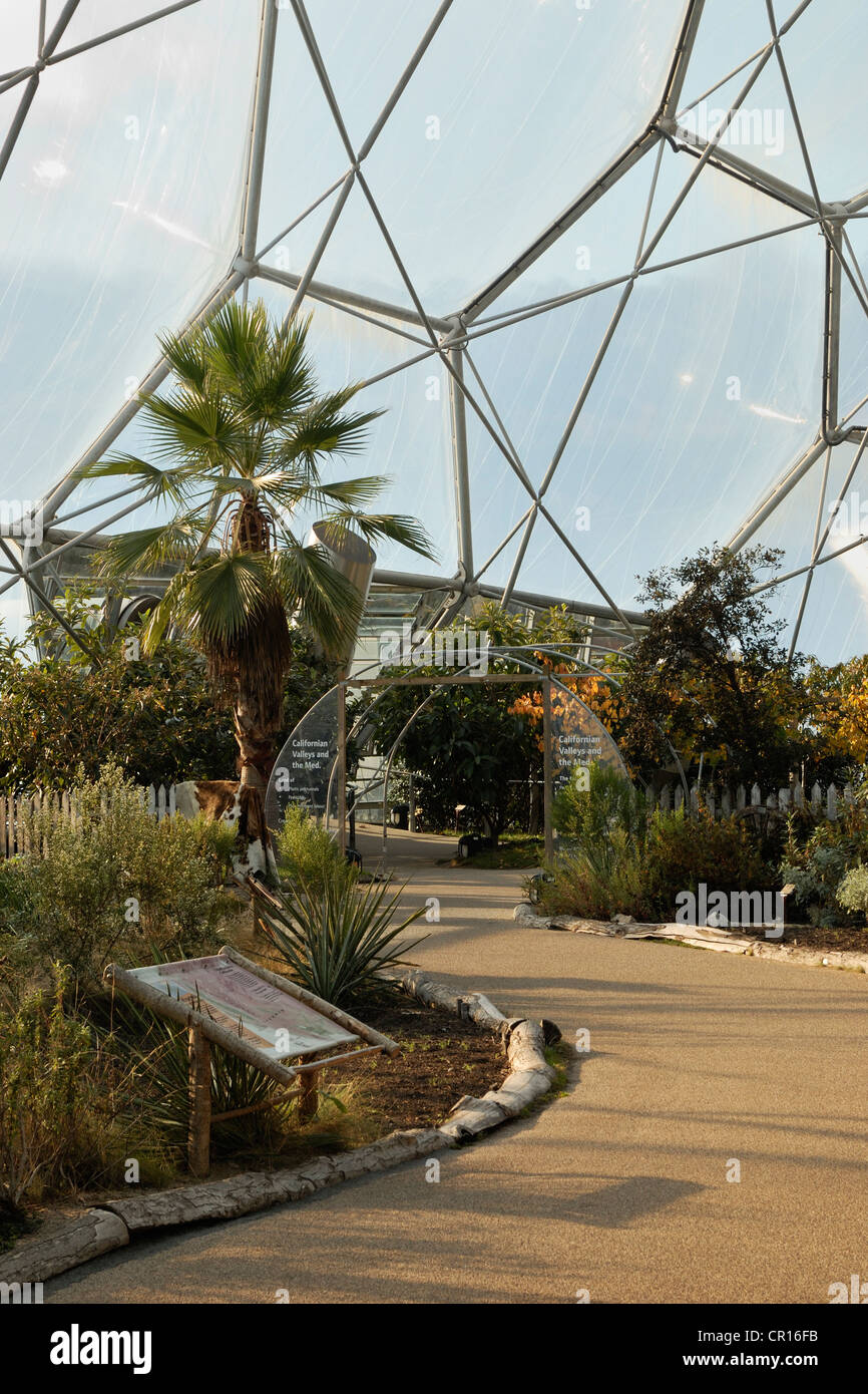 Eden project cornwall dome interior hi-res stock photography and images ...