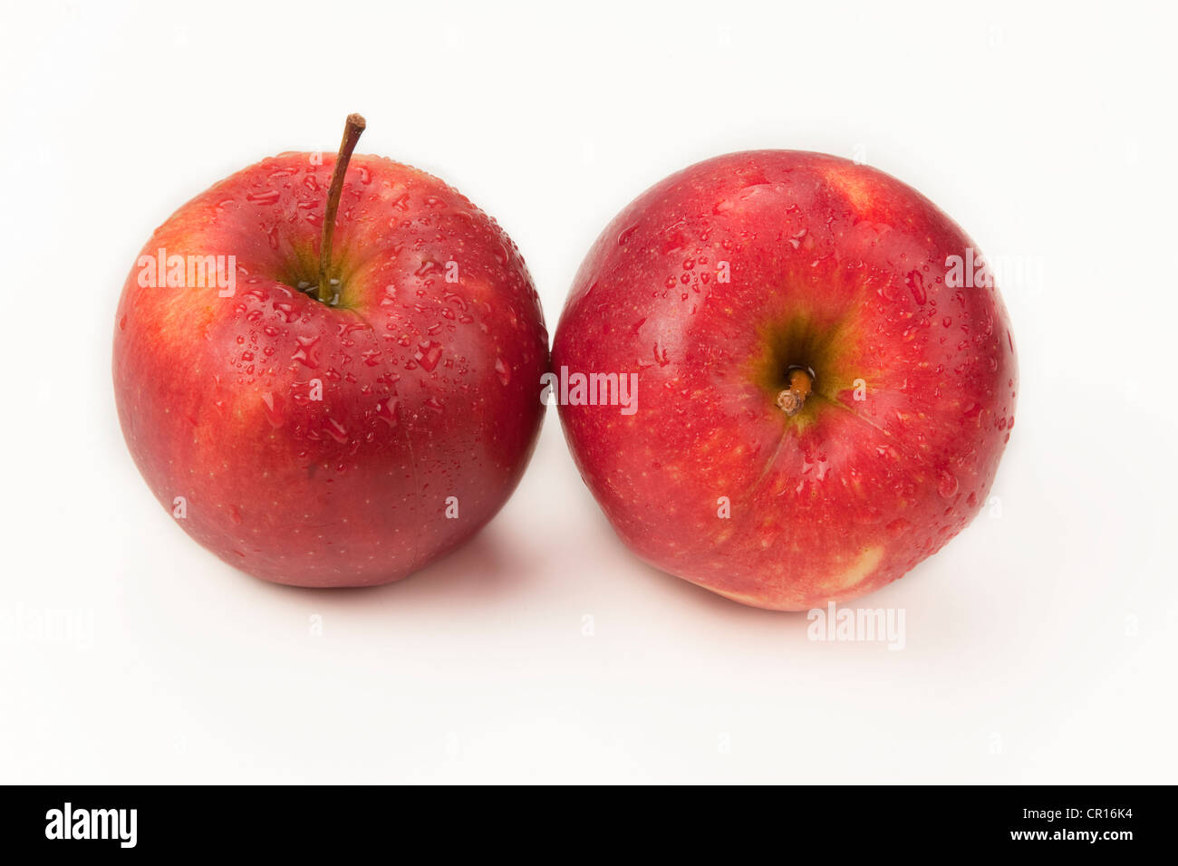 Two views top Cut Out Stock Images & Pictures - Alamy
