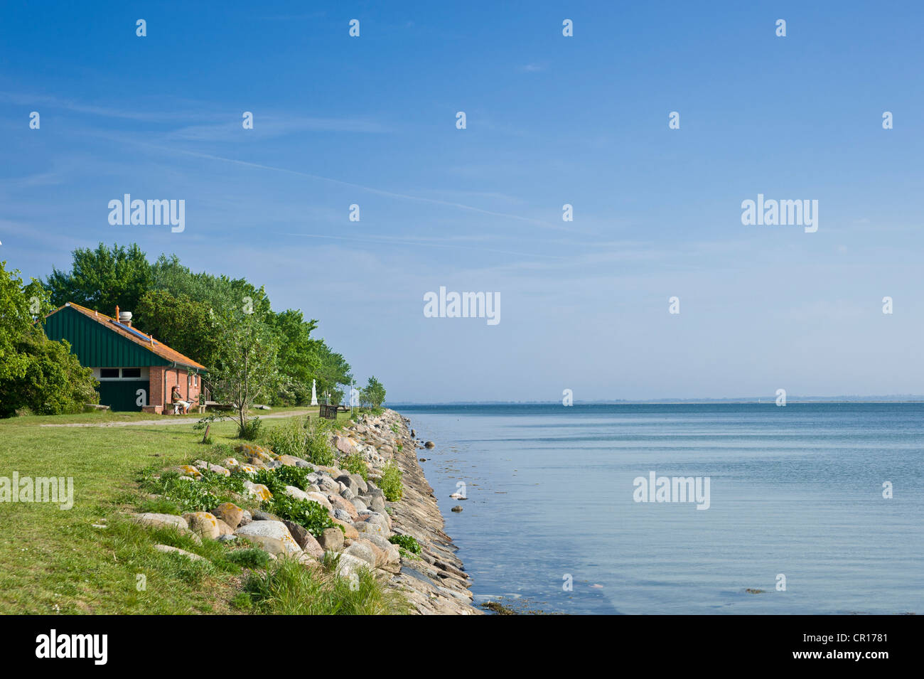 Orther reede hi-res stock photography and images - Alamy