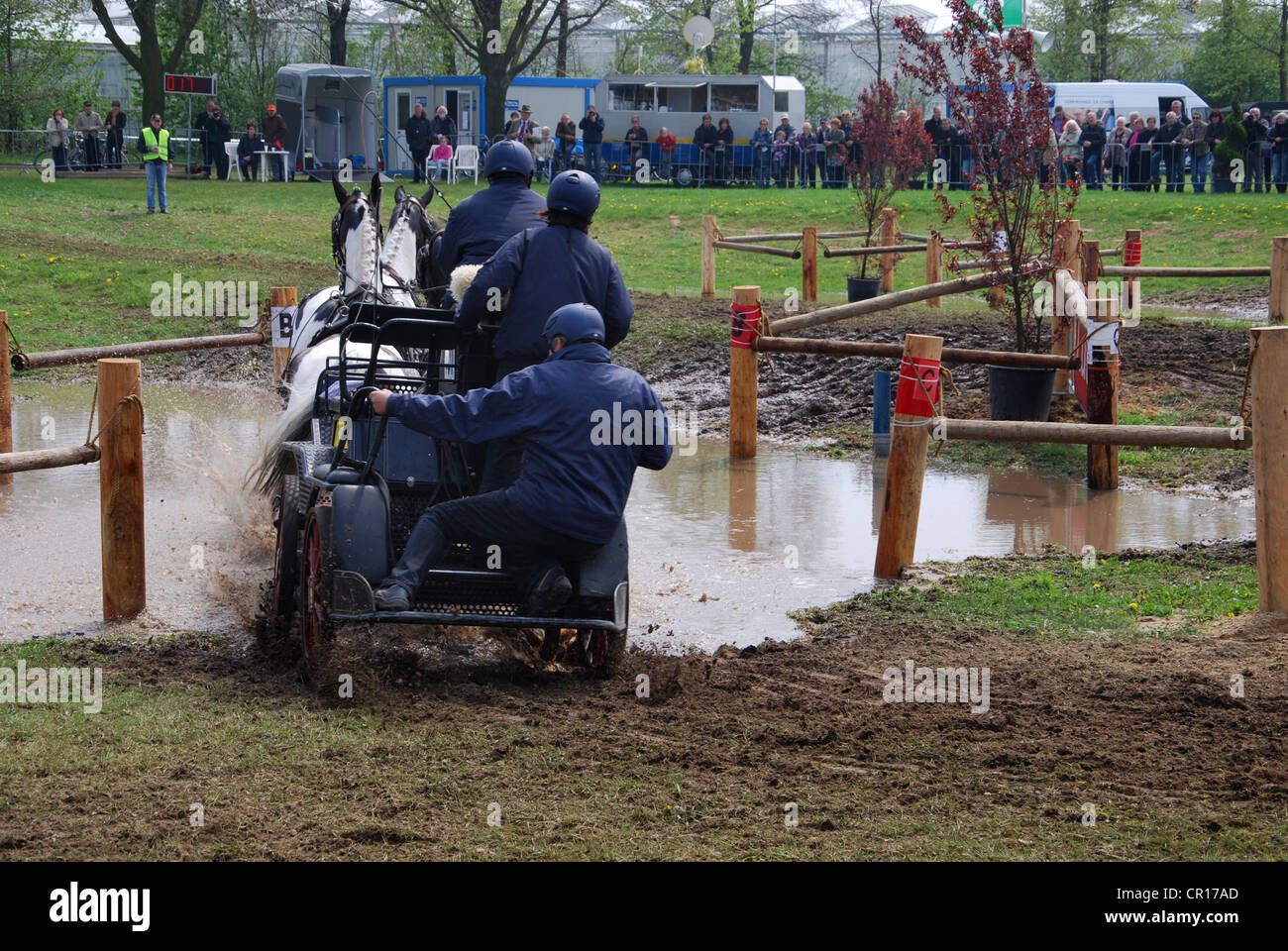 Carriage racing championship in Horst Netherlands Stock Photo - Alamy