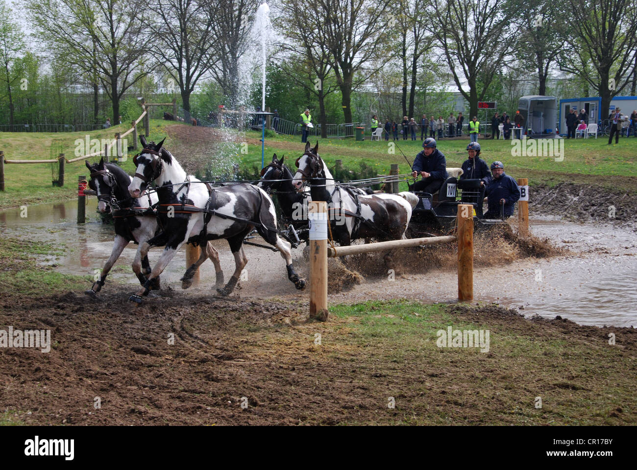 Carriage racing championship in Horst Netherlands Stock Photo - Alamy