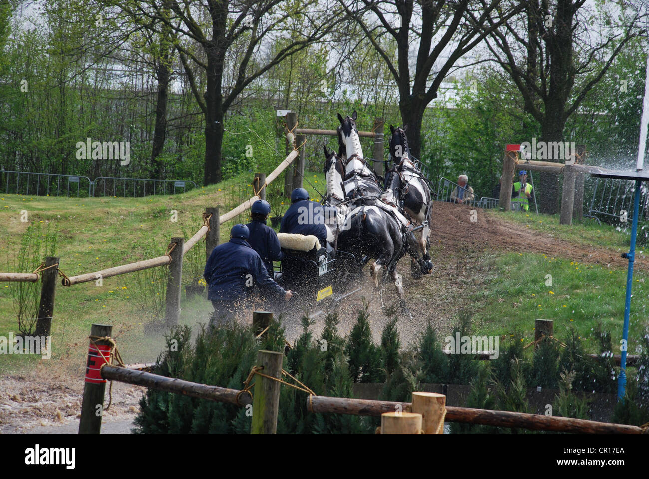 Carriage racing championship in Horst Netherlands Stock Photo - Alamy
