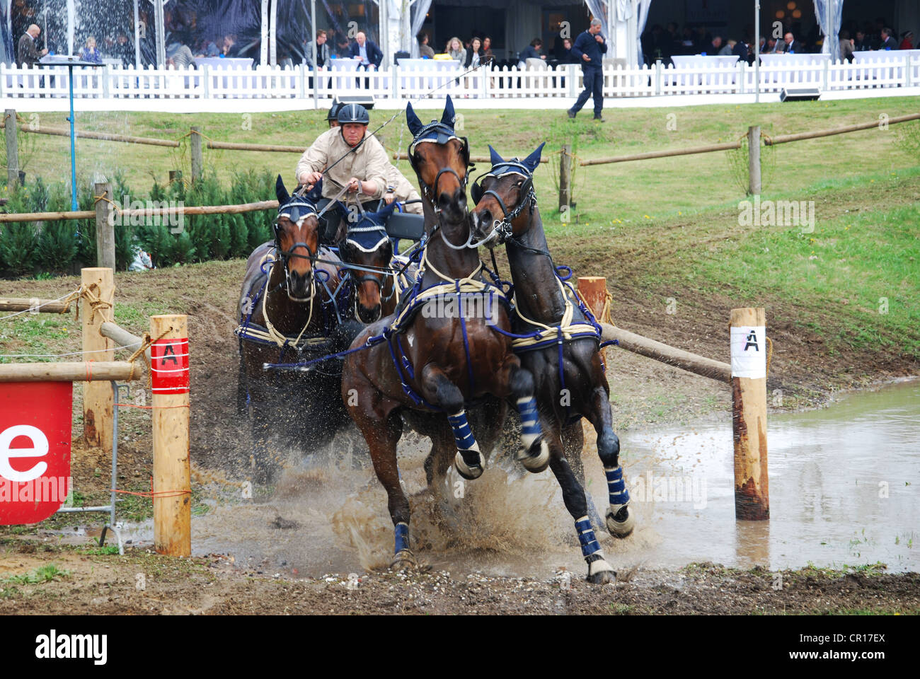 Carriage racing championship in Horst Netherlands Stock Photo - Alamy