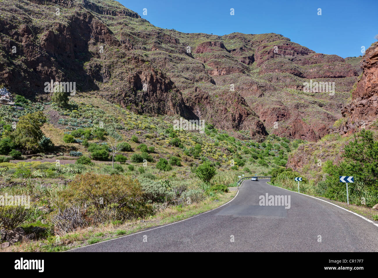 Barranco de guayadeque hi-res stock photography and images - Alamy