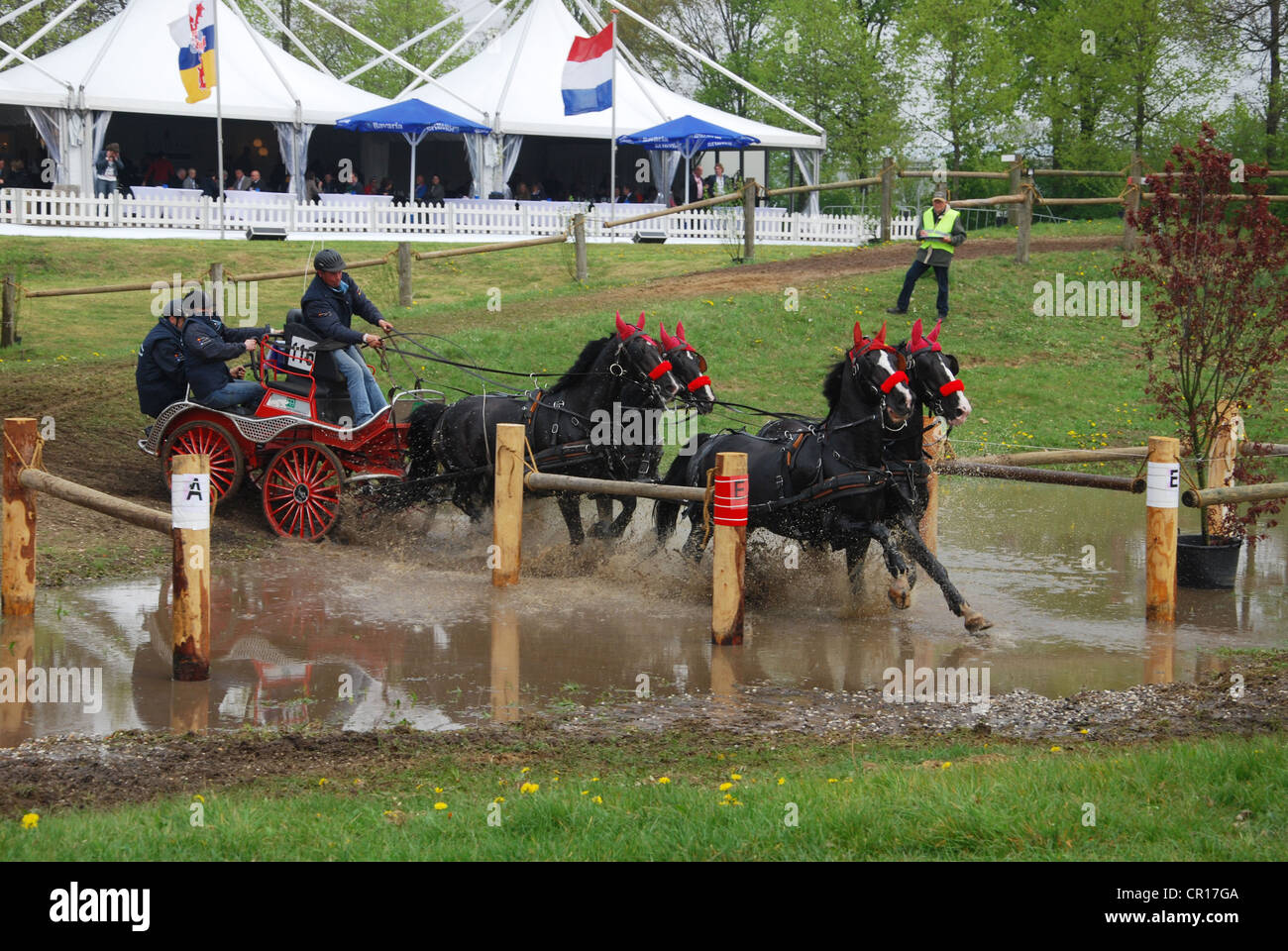 Carriage racing championship in Horst Netherlands Stock Photo - Alamy