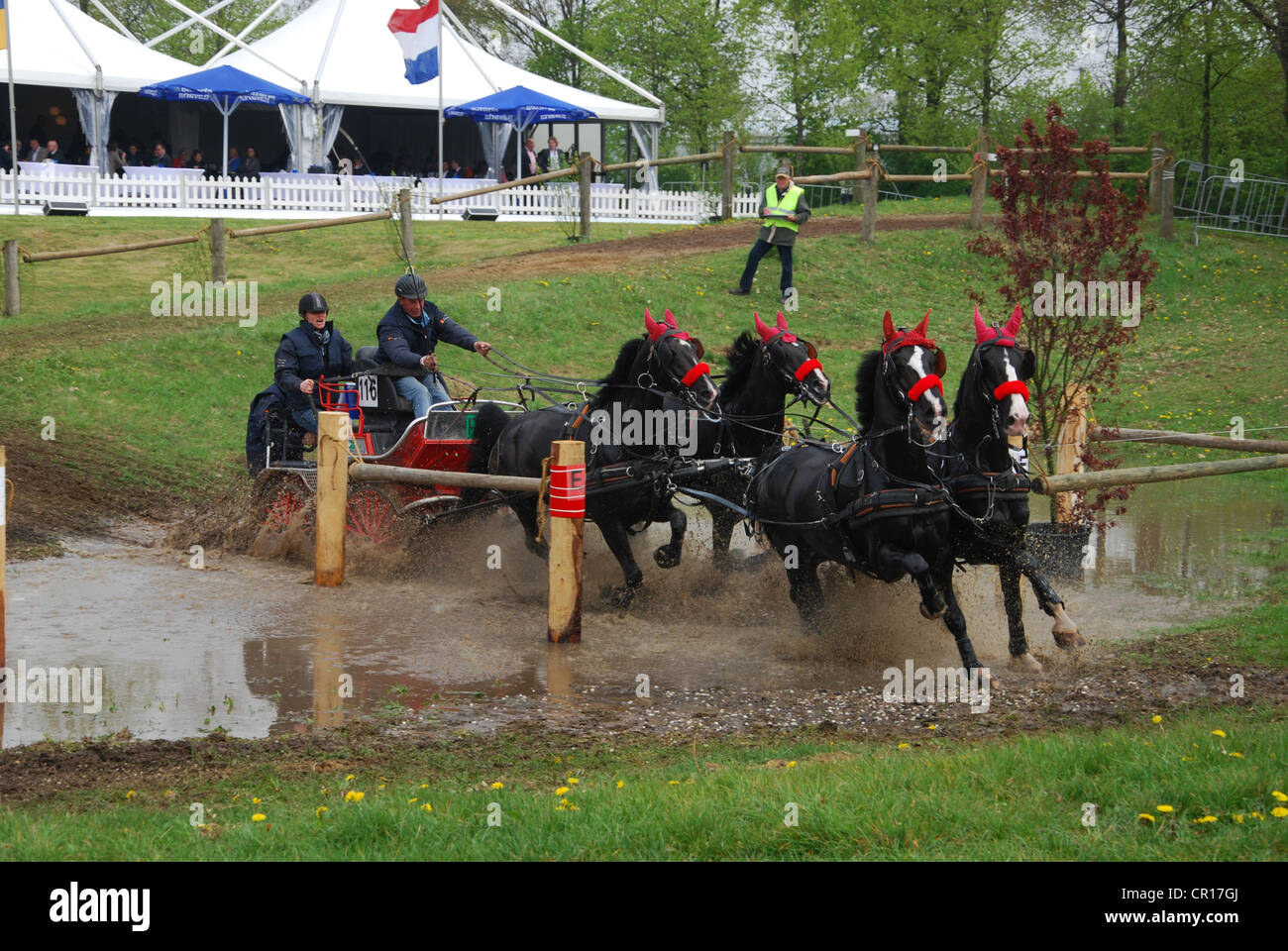 Carriage racing championship in Horst Netherlands Stock Photo - Alamy