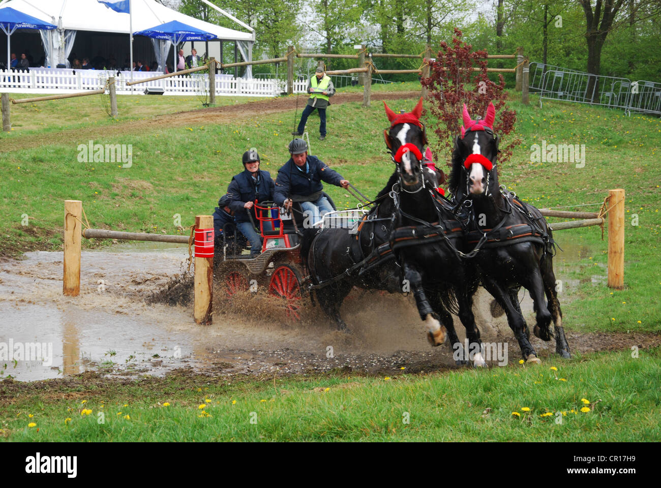 Racing horse breastplate hi-res stock photography and images - Alamy