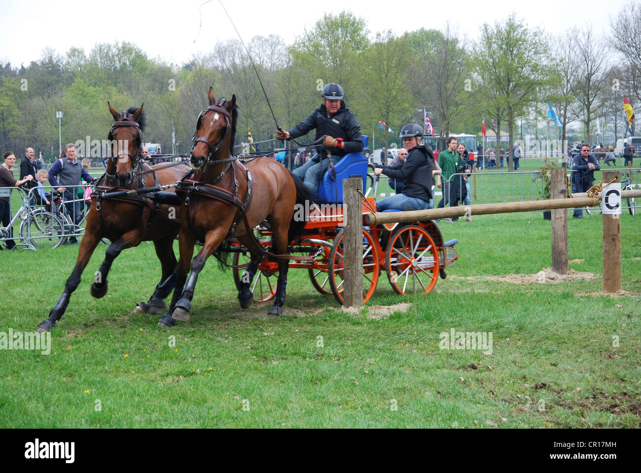 Carriage racing championship in Horst Netherlands Stock Photo - Alamy