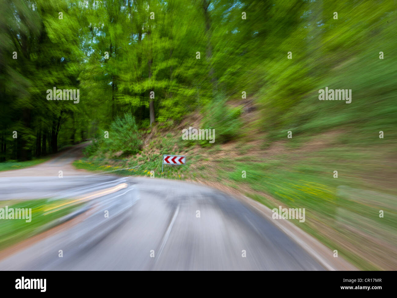 High speed motion, country road in a wooded area with a sharp left turn ...