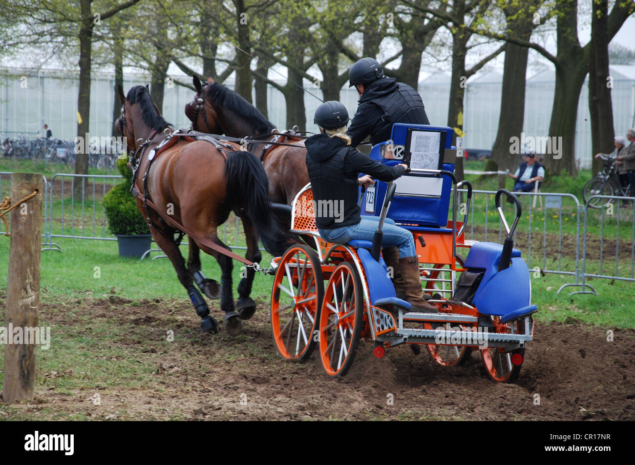 Carriage racing championship in Horst Netherlands Stock Photo - Alamy