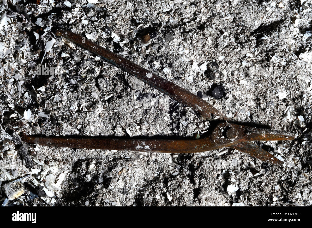 pair of tin snips or snippers in bed of wood ash Stock Photo - Alamy