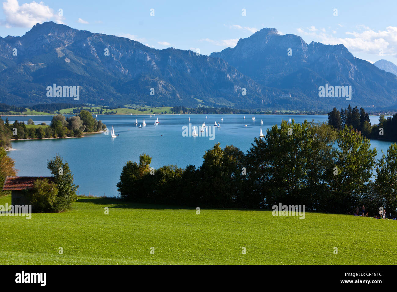 View over Lake Forggensee, Upper Bavaria, Bavaria, Germany, Europe ...