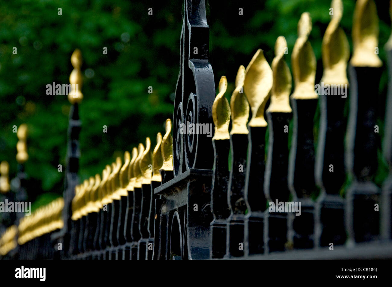 Close up detail of gilded wrought iron railings railing England UK ...