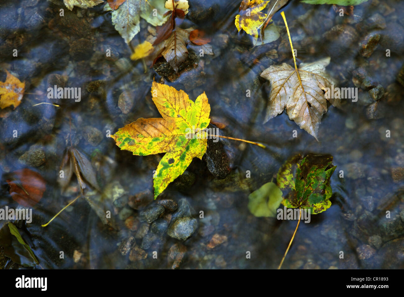 Streaming streams the ups water waters hi-res stock photography and ...