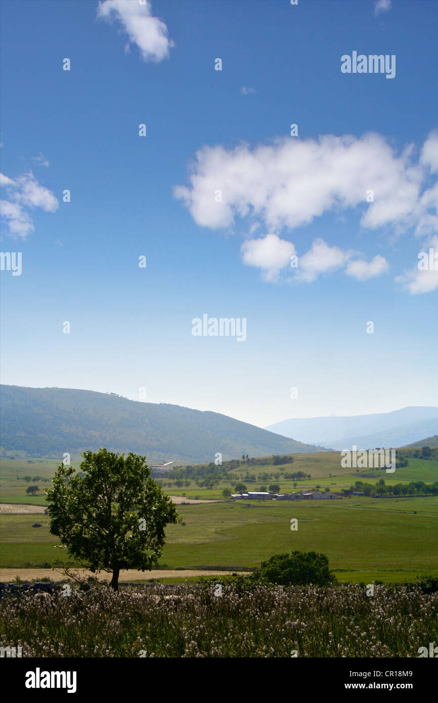 Gargano - Apulia, South of Italy, vertical landscape Stock Photo - Alamy