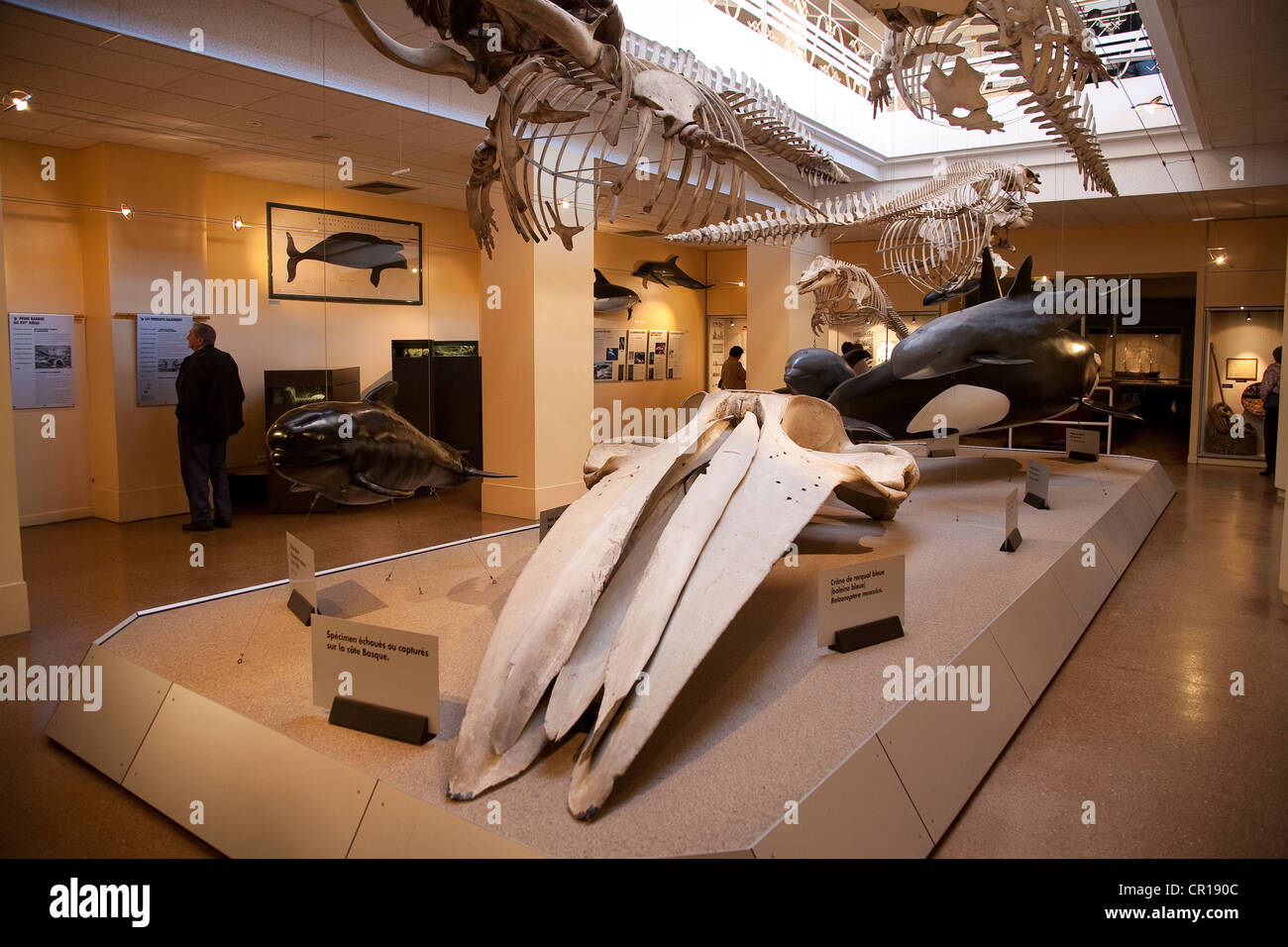 Musee mer marine hi-res stock photography and images - Alamy