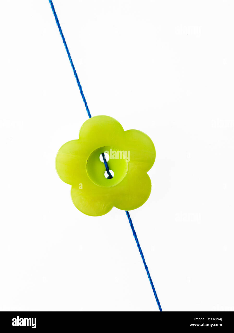 Studio shot of single green button on thread Stock Photo - Alamy
