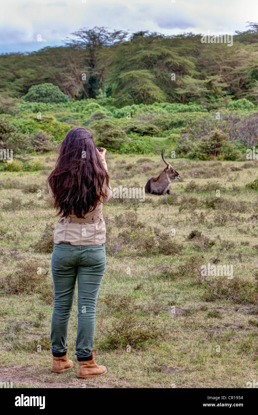 Bovids pictures hi-res stock photography and images - Alamy